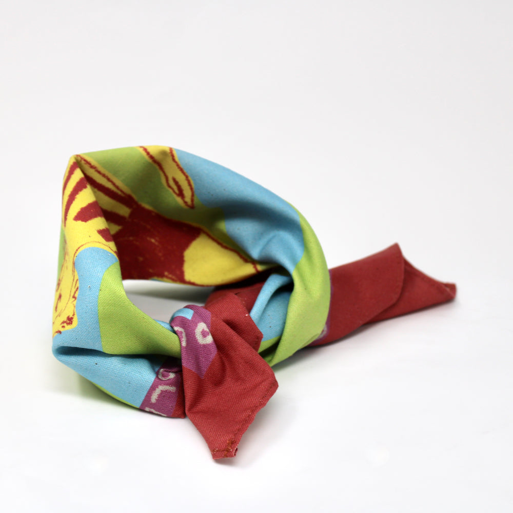 Footballer Bandana – Ark Colour Design - Retail