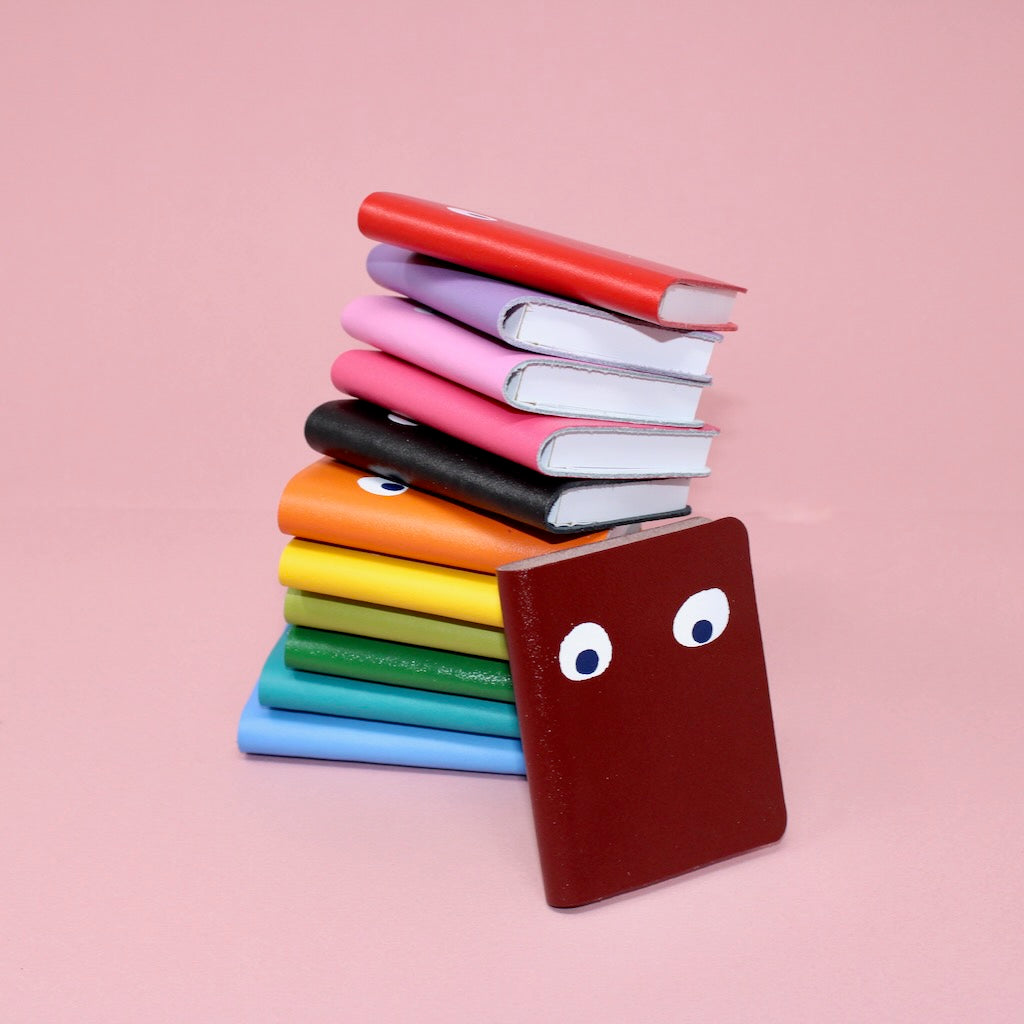 Googly Eye Mini Notebook – Ark Colour Design - Retail